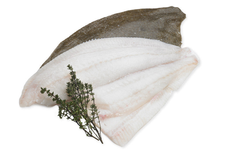 Brill Fillet – Lui Foods Fish Store